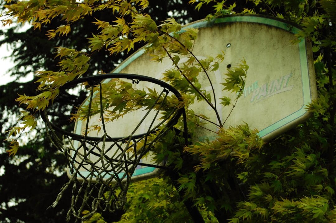 Pourquoi adopter la nouvelle marque de basketball Zéro